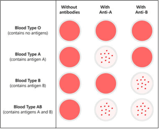 Blood Typing - Mission Science
